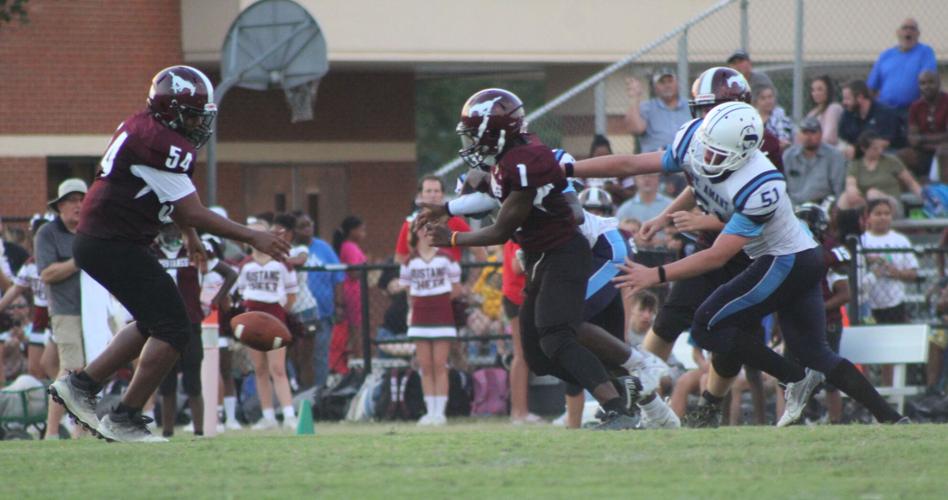 Donaldsonville Tigers cruise to homecoming victory | Ascension ...