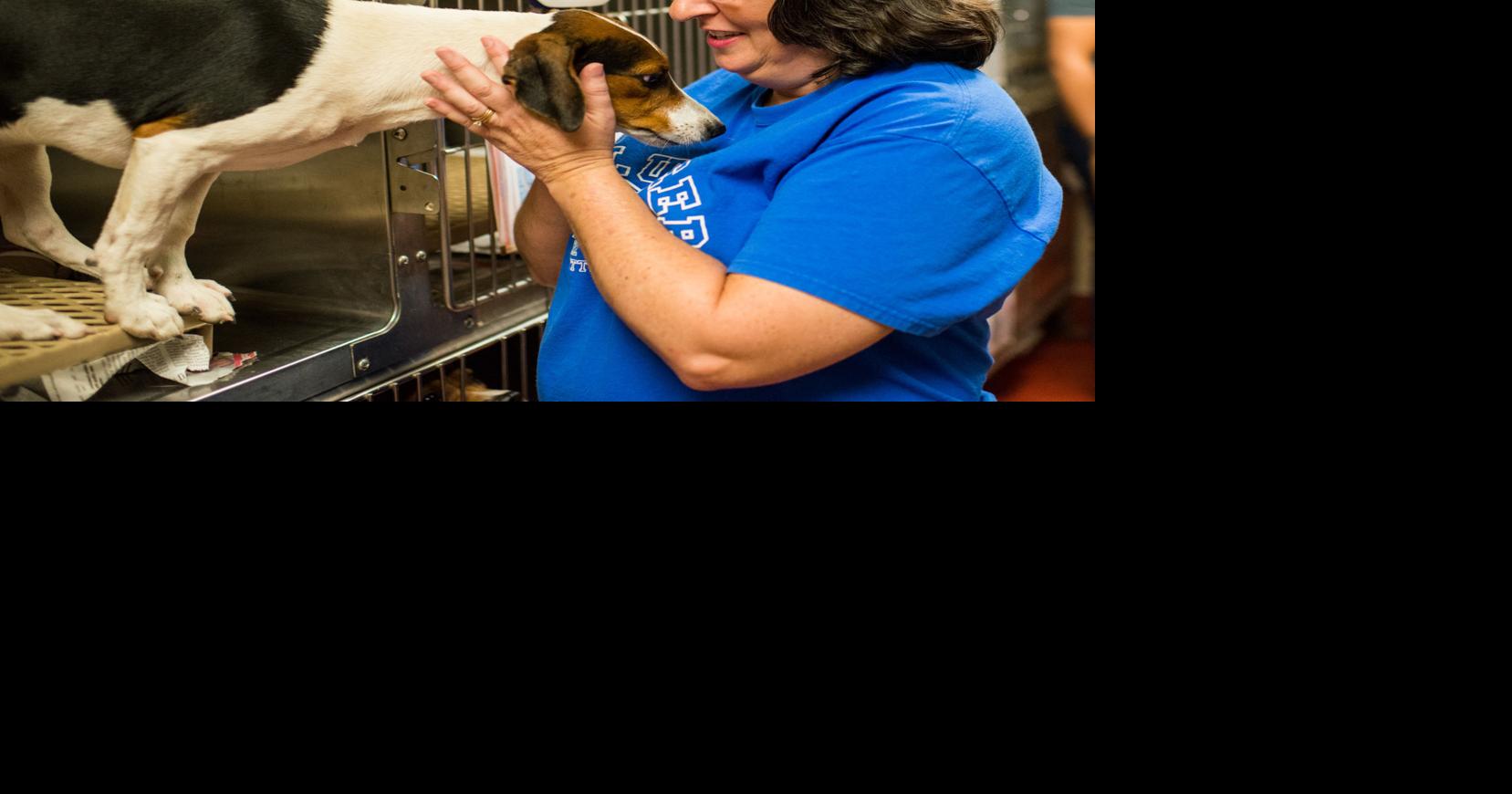 Lafayette Animal Control Center opens doors for first in series of ...