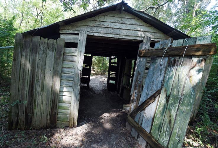 PHOTOS: The Fright Trail enhanced and expanded for 5th year of ...