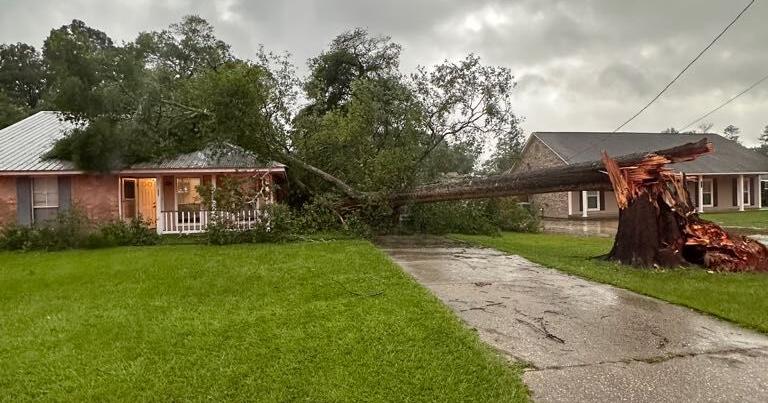 Hurricane Francine hits Baton Rouge area Wednesday night | Hurricane ...