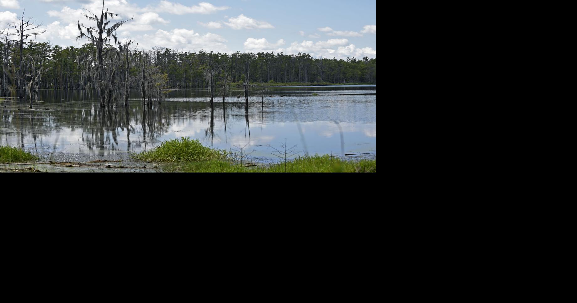 Erased from the bayou: Documentary looks at community impact of Bayou ...