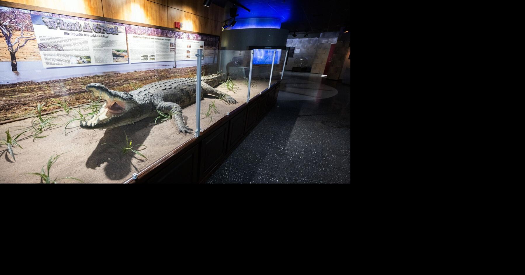 How university partnership revived Lafayette Science Museum | Louisiana ...
