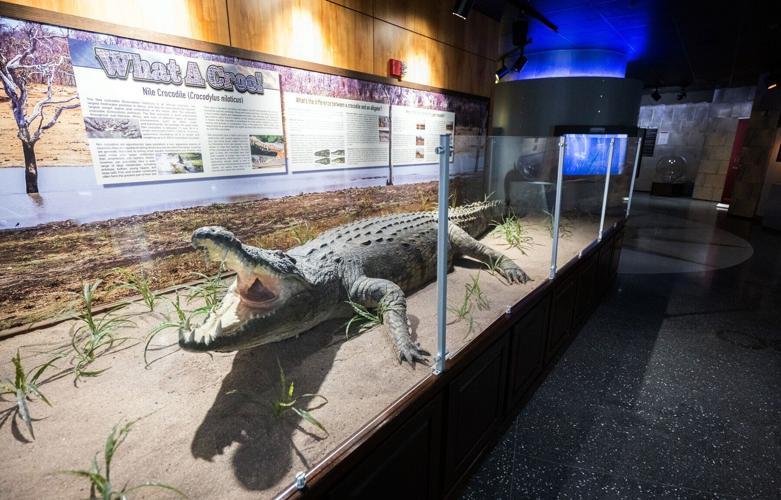 How university partnership revived Lafayette Science Museum | Louisiana ...