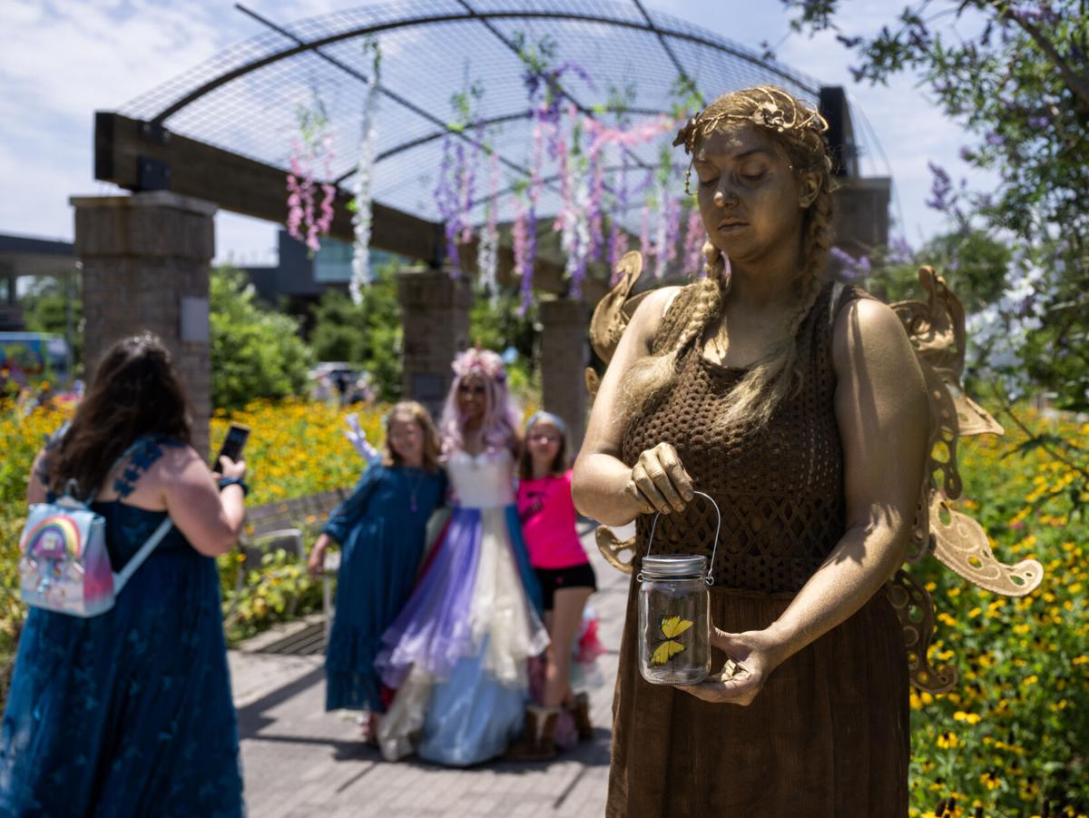 Photos: FAE Fest at Independence Community Park | Baton Rouge ...