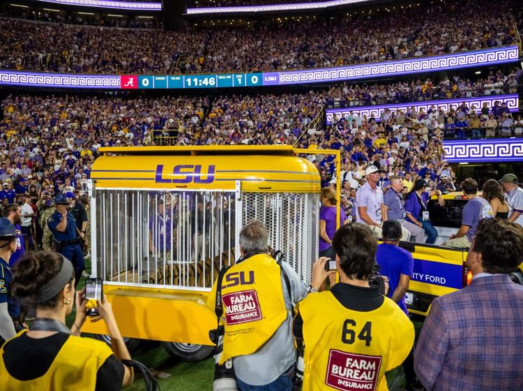 LSU student threatened Jeff Landry over tiger, police say | Crime ...