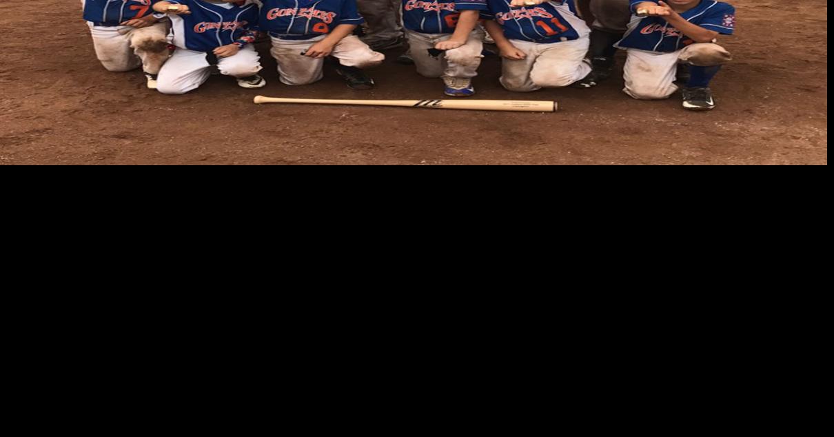 Gonzales Nationals 8U All Stars team captures USSSA State All Star ...