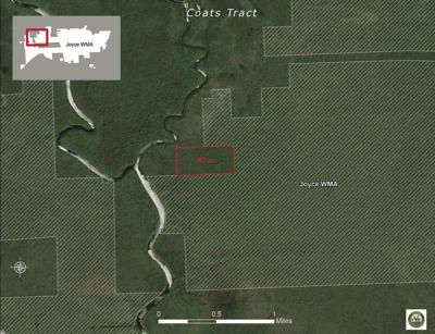 Louisiana Wildlife and Fisheries expands Joyce Wildlife Management Area ...