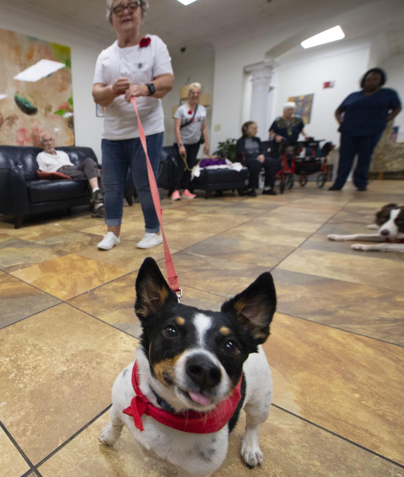 Bayou Buddies dogs bring love to Southside Gardens seniors | Photos ...