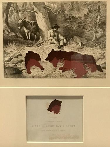 Now you see them, now you don't: Brandon Ballengee's installation ...