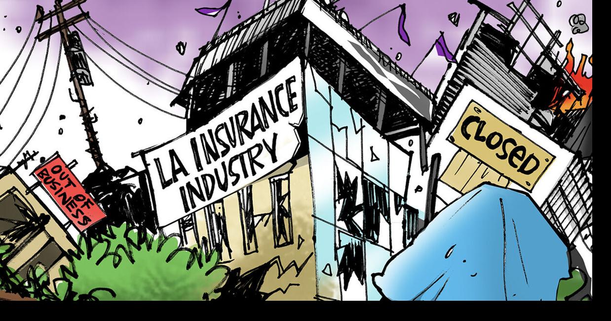Louisiana Insurance Crisis Cartoon | Walt Handelsman | theadvocate.com