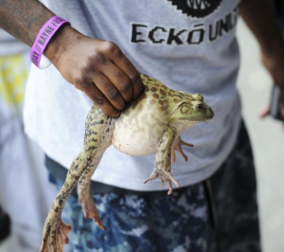 Photos: The 45th annual Rayne Frog Festival | Photos | theadvocate.com