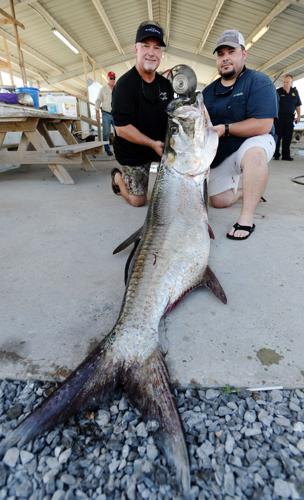 Check out Friday's results from the 88th-annual Grand Isle Tarpon Rodeo ...