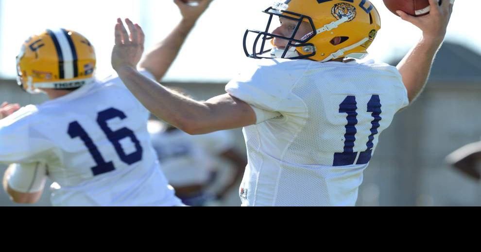 Ex-LSU quarterback Hayden Rettig says the Tigers system wasn't a good ...