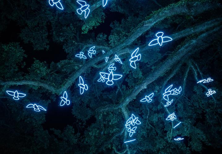 Louisiana Lights at Windrush Gardens transform the landscape | Baton ...