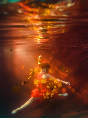 Of Moving Colors kicks off 30th season by invoking Vivaldi's 'The Four ...