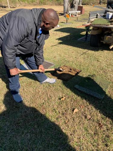 LSU fan honors her dad by planting Tiger Stadium sod at his grave: 'He ...