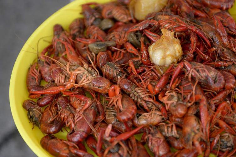 Photos: Crawfish boil in Omaha, Nebraska gives LSU baseball fans a ...