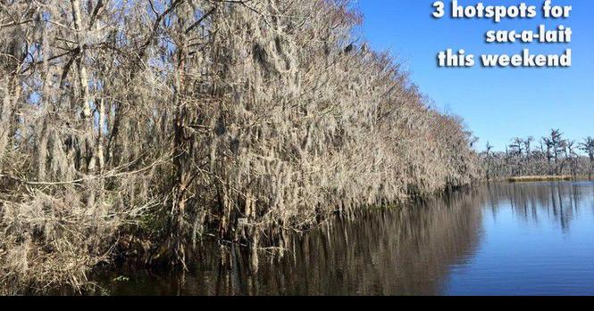 3 hotspots for sac-a-lait this weekend | Louisiana Outdoors ...