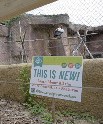 Baton Rouge Zoo renovated, set to reopen with upgrades | News ...