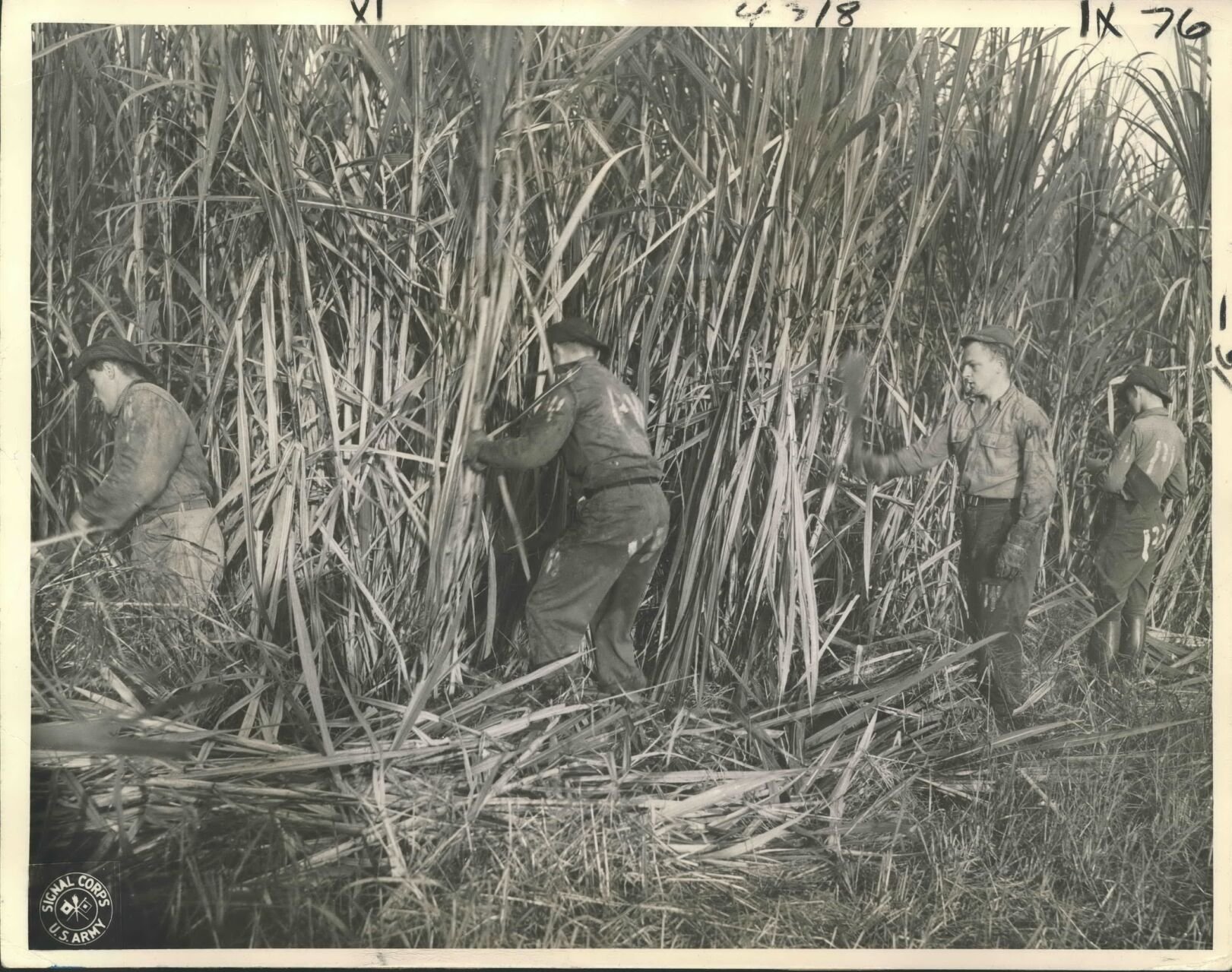 pow camp port allen 3 | | theadvocate.com