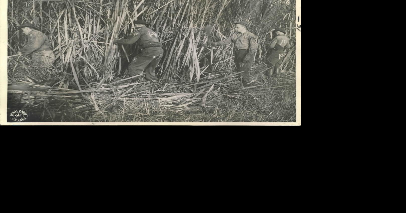 pow camp port allen 3 | | theadvocate.com