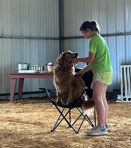 East Feliciana Parish 4-H Dog Club completes first year | East ...