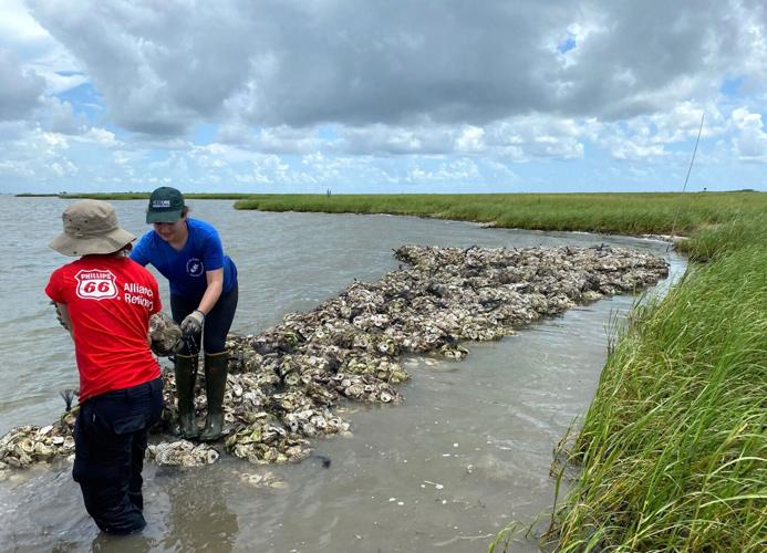 Louisiana program recycling oyster shells expands | Environment ...