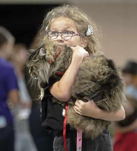Pets and pumpkins are costumed by owners at 4-H Pet Show in Gonzales ...
