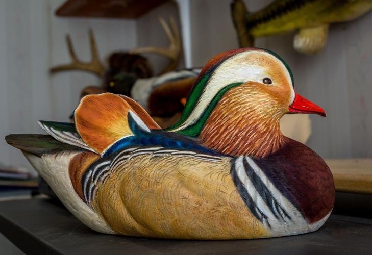 Award-winning duck carver loves whittling down the competition | St ...