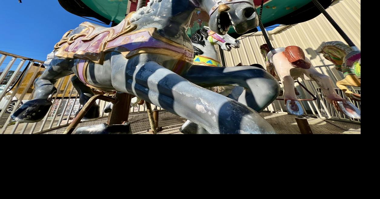 Photos of the carousel behind Candyland Cottage in Scott | Photos ...