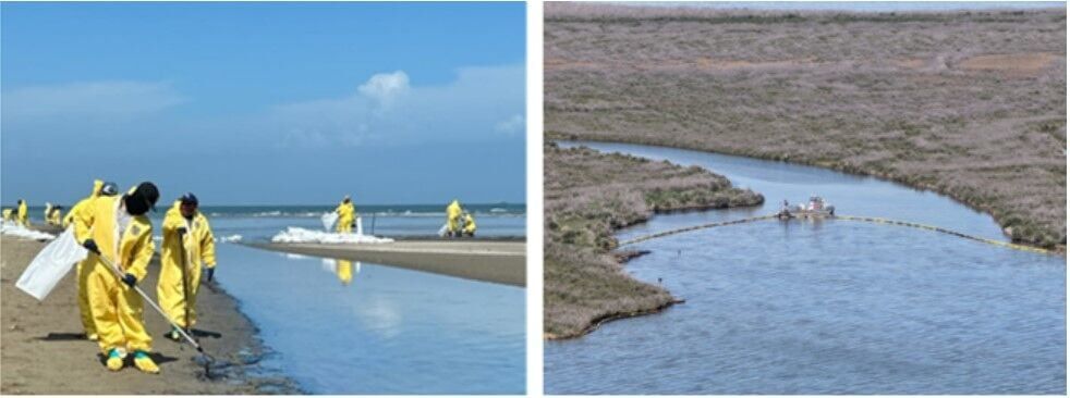 Oyster leases in Barataria Bay closed due to LOOP oil spill | Business ...