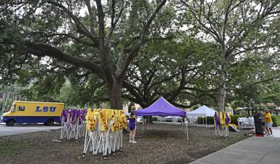 How to cook at LSU tailgates this weekend | News | theadvocate.com