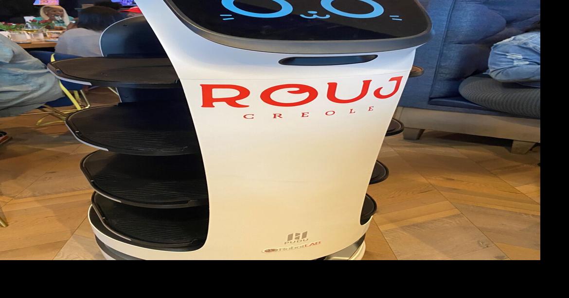 Meet Bella Bot, Rouj Creole's server robot who waits tables, brings ...