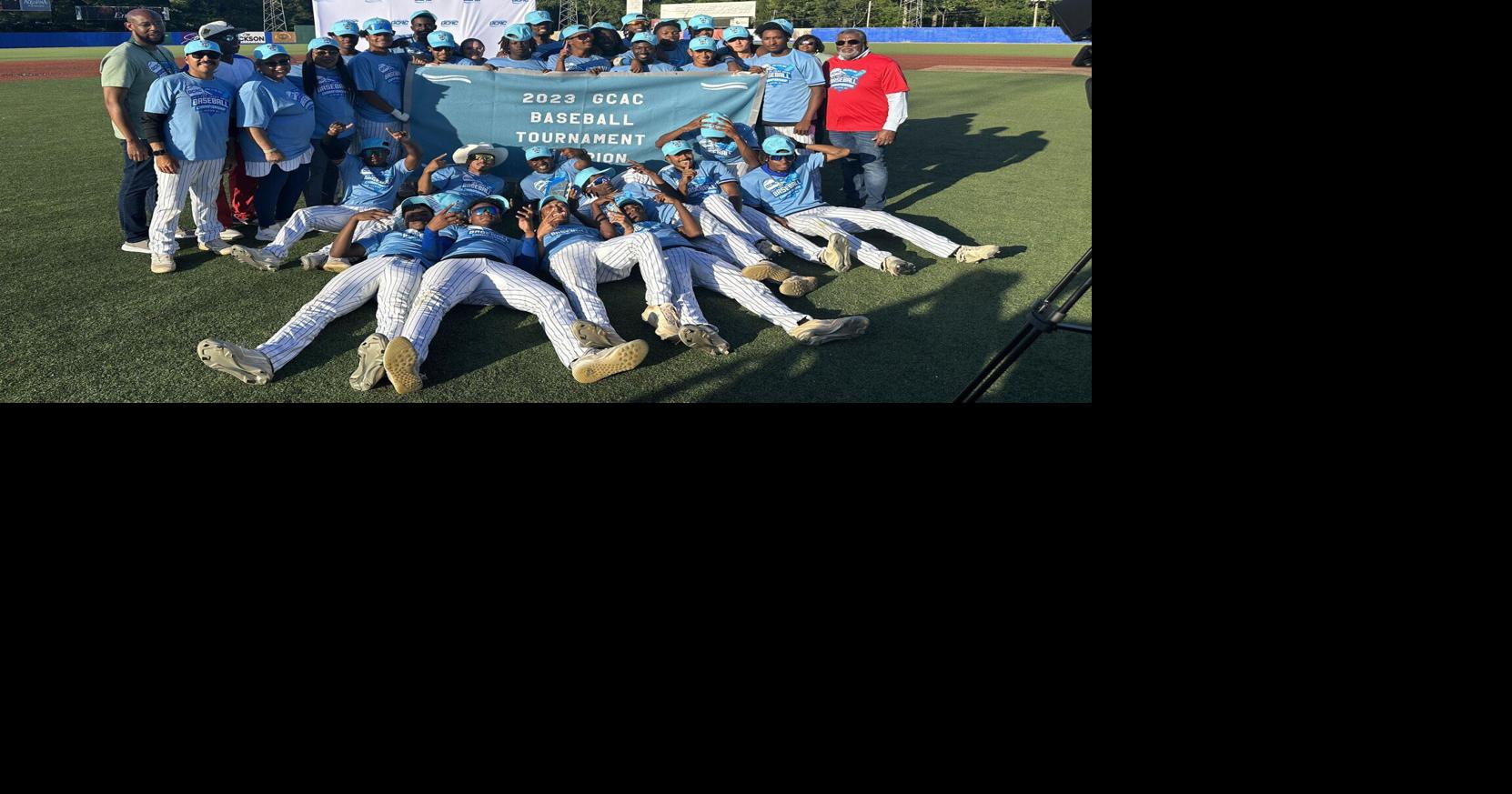 Dillard baseball team wins GCAC title in Year One | Sports ...