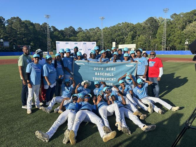 Dillard baseball team wins GCAC title in Year One | Sports ...