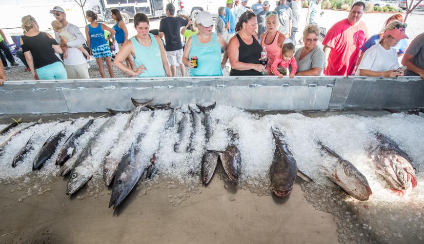 Grand Isle Tarpon Rodeo finishes with enormous 208-pound tarpon ...