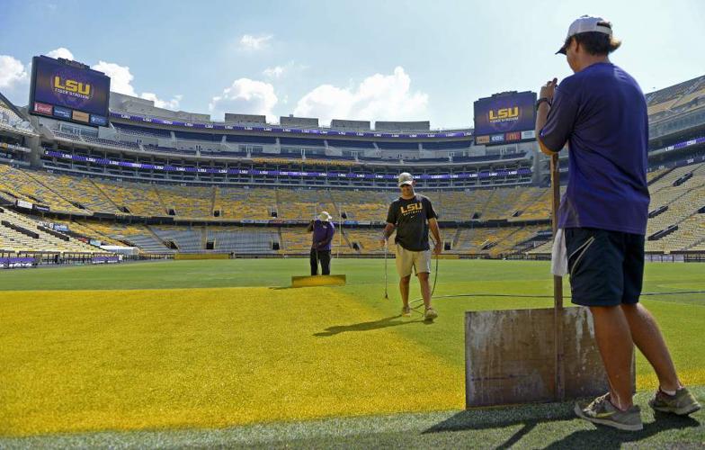 Kickoff time set for 2:30 p.m. as South Carolina to play LSU in Tiger ...