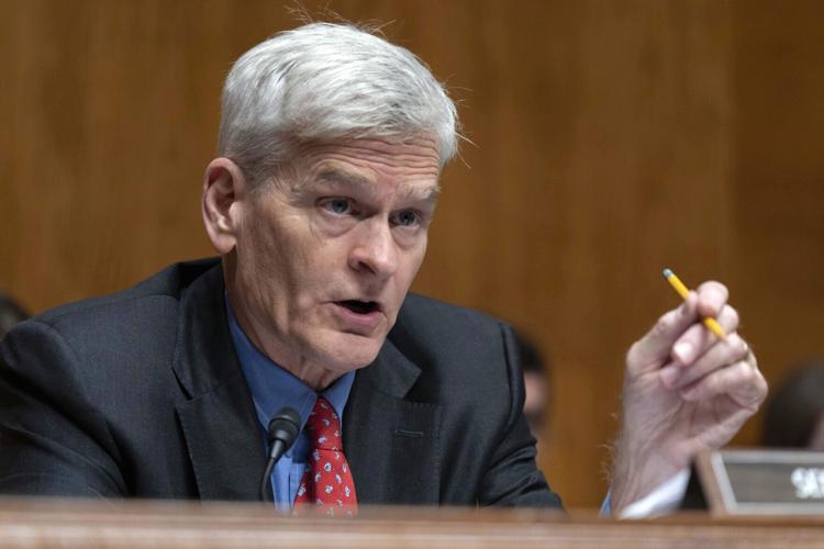 Quin Hillyer: Bill Cassidy could run for governor | Opinion ...