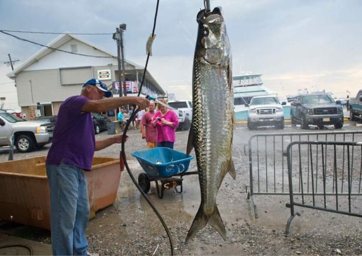 Cheramie leads Grand Isle Tarpon Rodeo after first day | Louisiana ...