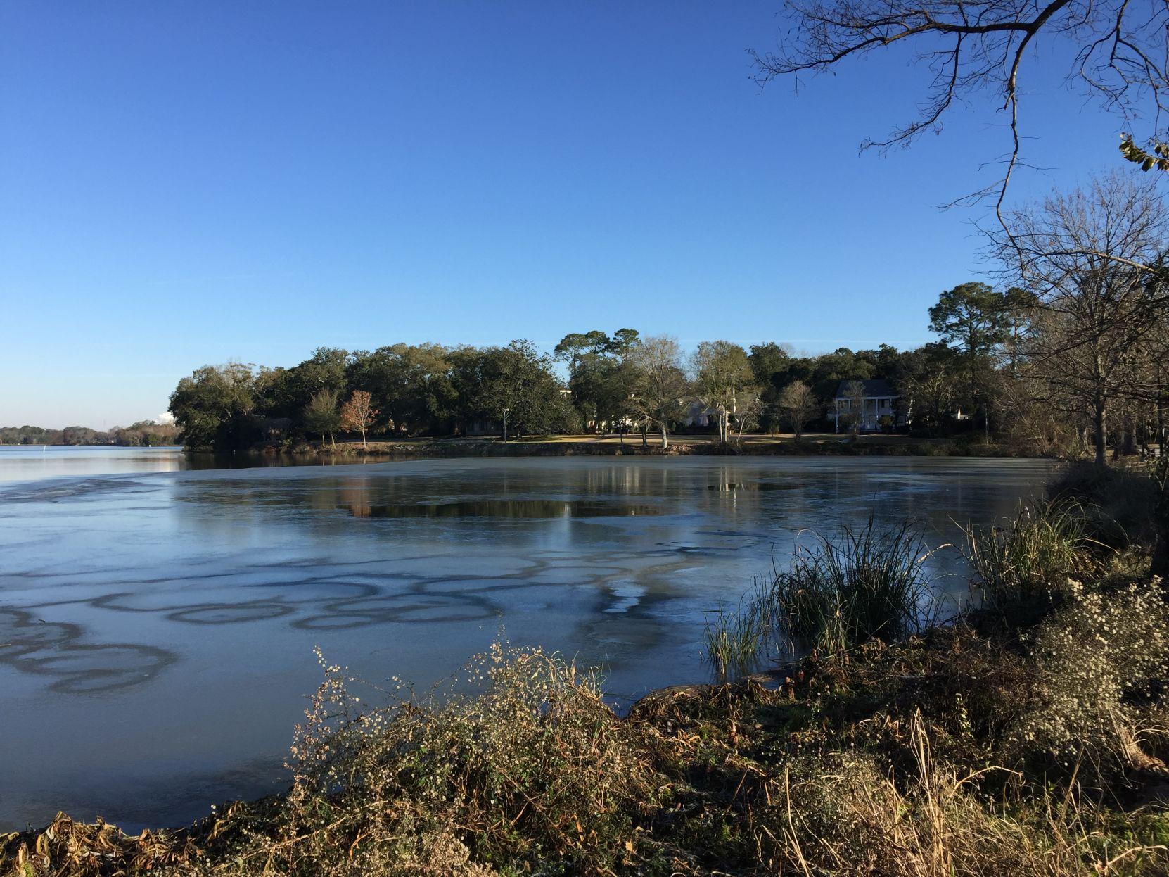 A rare sight: Ice forms on LSU lakes on a chilly morning | Photos ...