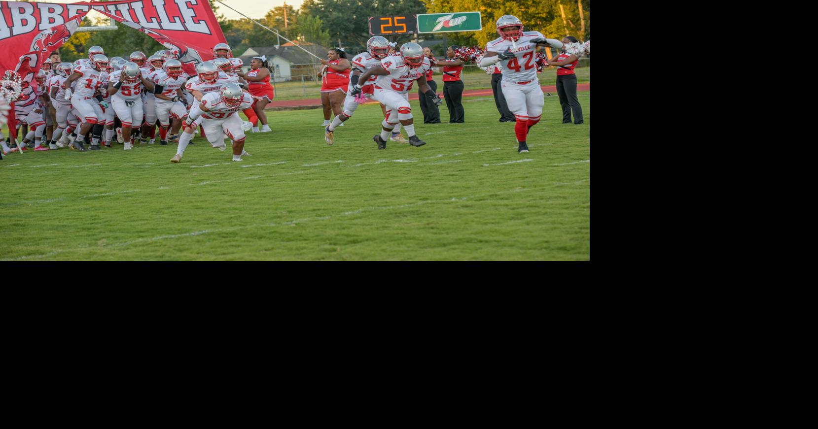 Abbeville hires former Breaux Bridge, LSU player as coach | High ...