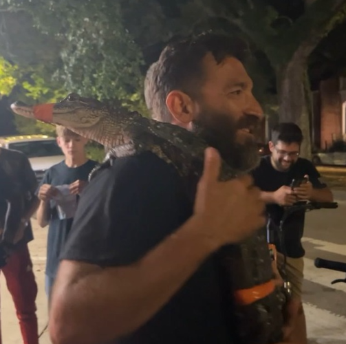 Gator in New Orleans leads to citations for Texas residents | Crime ...