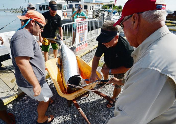 Check out Friday's results from the 88th-annual Grand Isle Tarpon Rodeo ...