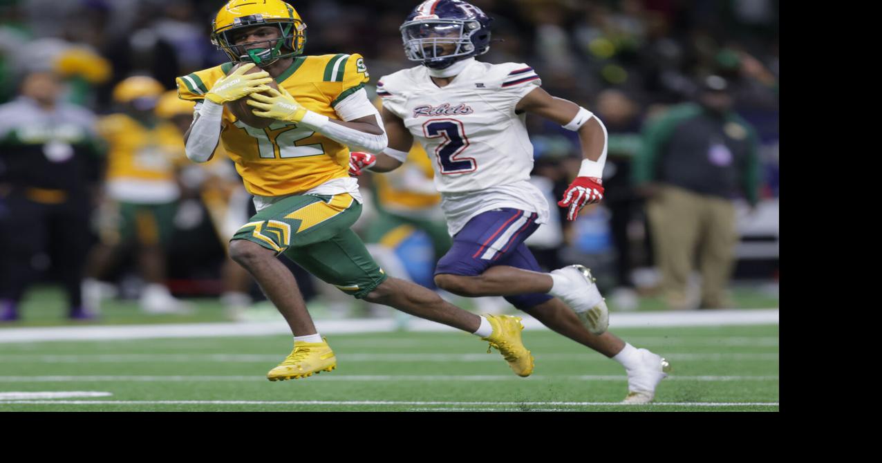 Southern Lab rallies past Riverside to win DIV select title | High ...