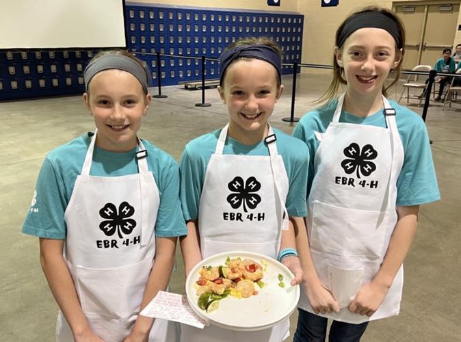 Copper Mill Elementary trio takes second place at state 4-H Food ...