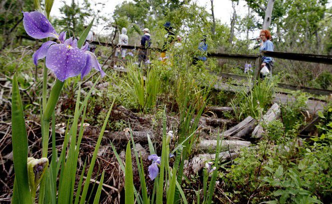 A preview of the refurbished Audubon Louisiana Nature Center ...