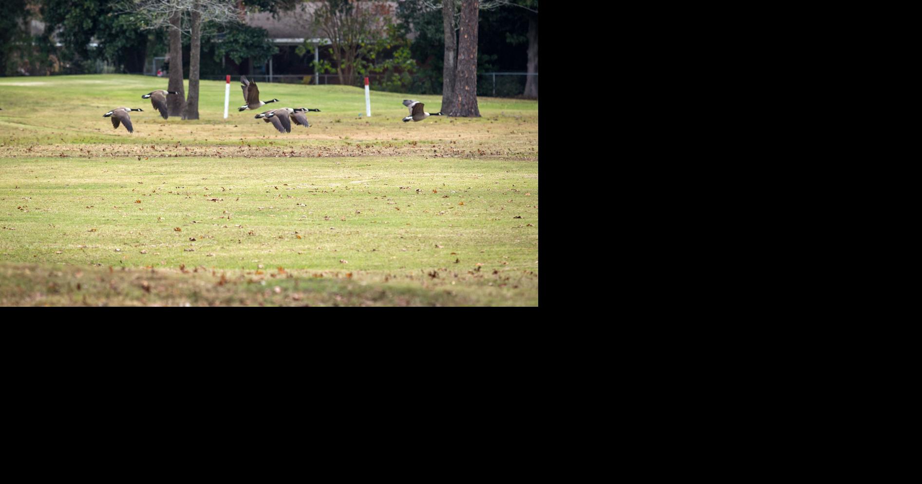 Here are next steps after Slidell City Council votes to buy golf course ...