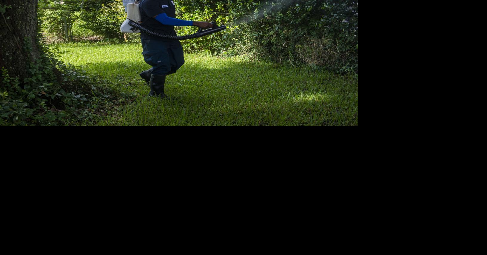 LSU researchers creating a better bug spray | Education | theadvocate.com