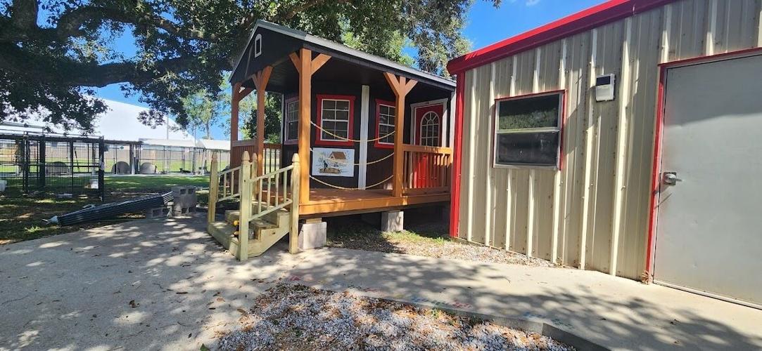 St. Martin shelter gets cat house in memory of Doucet Family | News ...