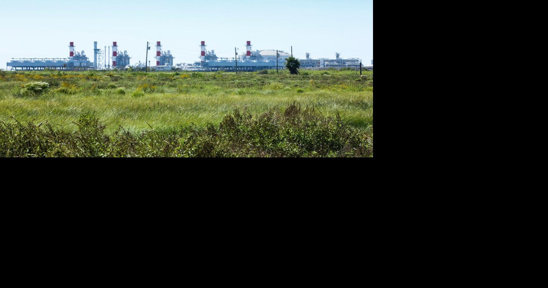 Guest column: Let the free market work with banks and energy | Opinion ...